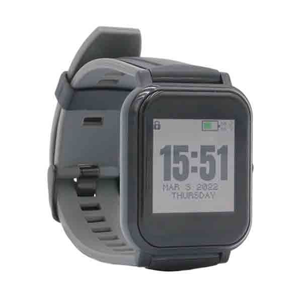 Montre Bangle.js 2 - Gotronic