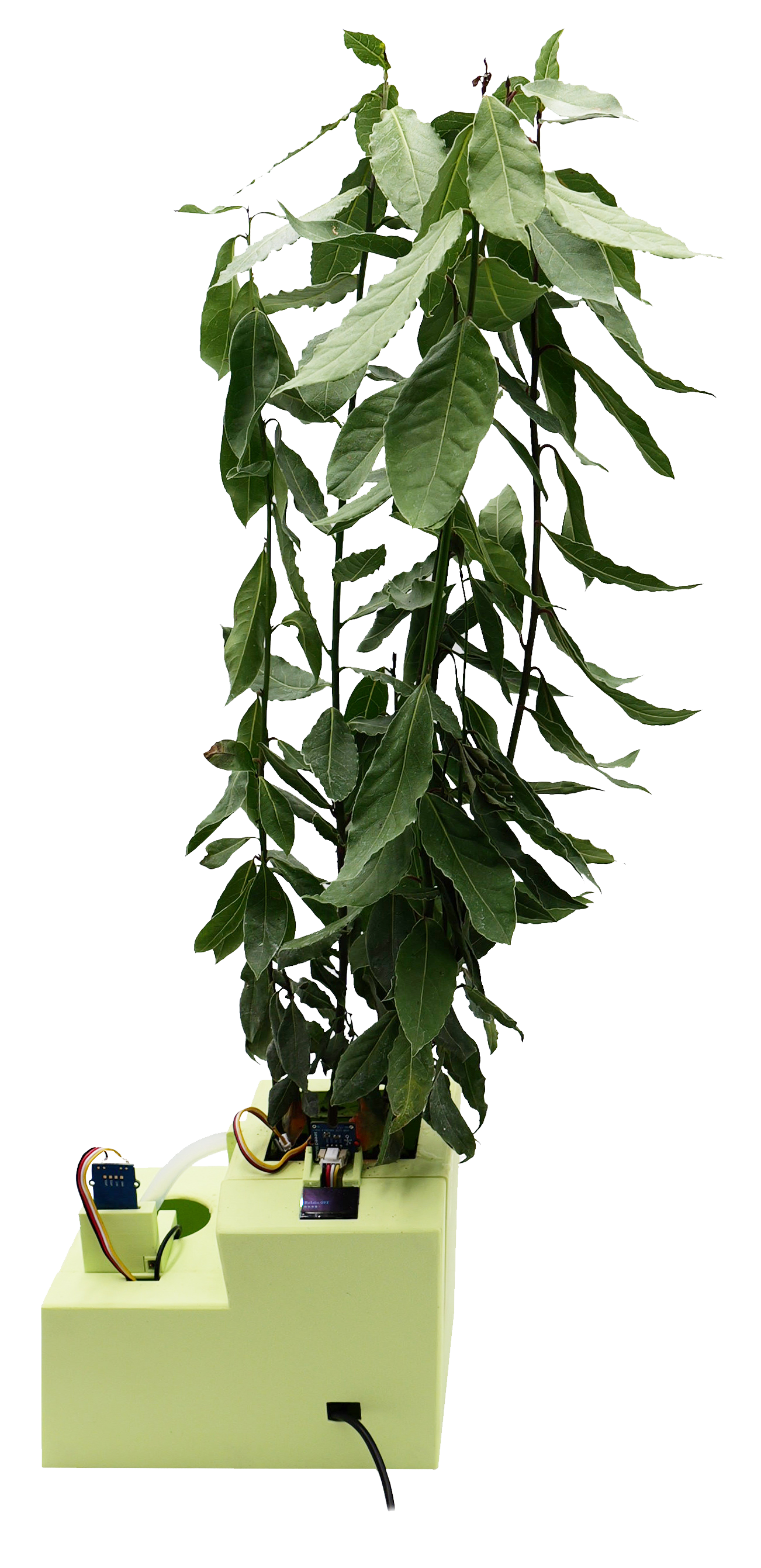 Arroseur automatique et connecté